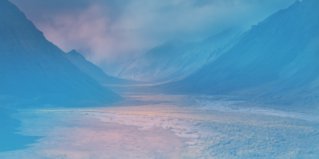 VIP Monitoring | Executive Protection