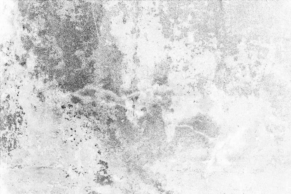 Protect Your Organization from Cyber Threats